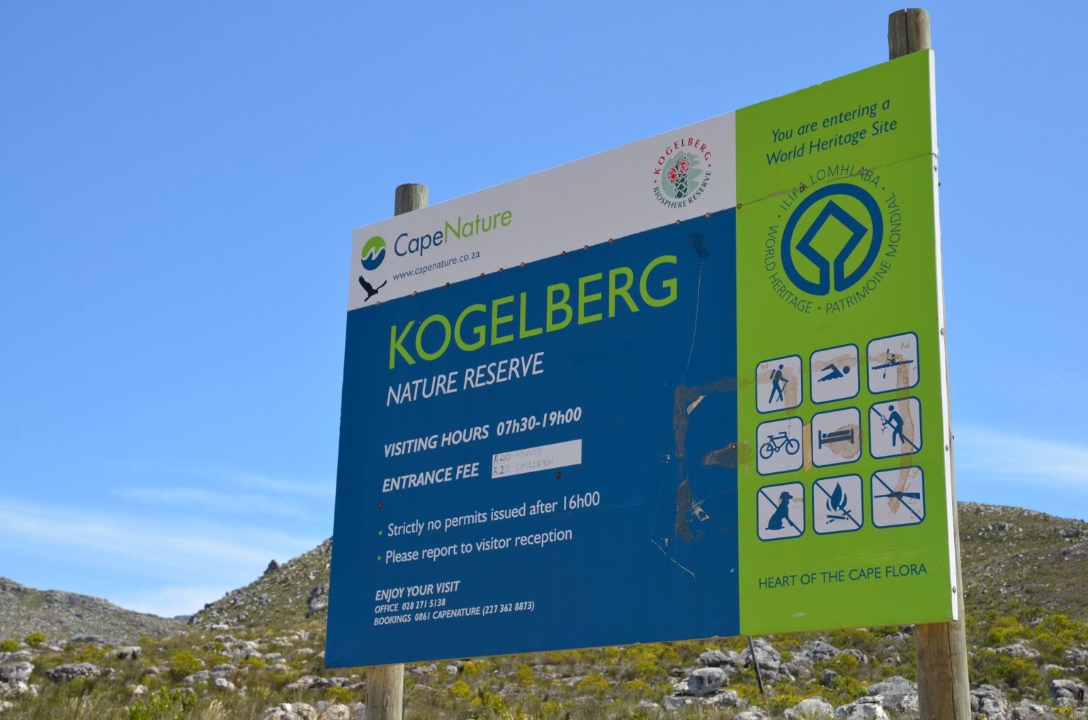 Kogelberg Nature Reserve – Afrique du Sud | Arbres et flore